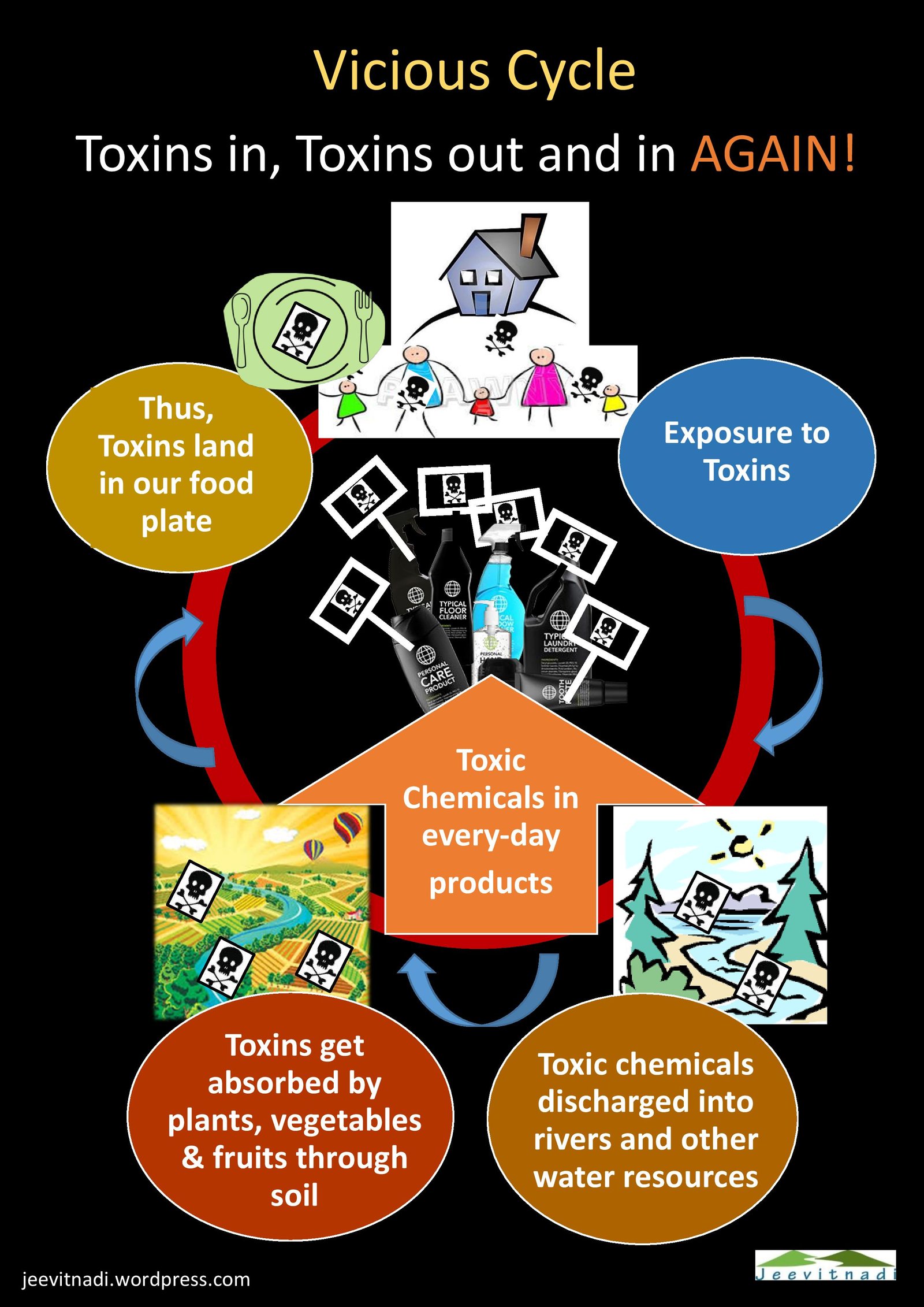 Toxin-free Lifestyle - Jeevitnadi Living River